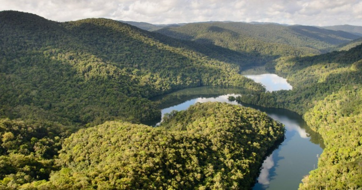 REFLORESTAMENTO | CBA lança edital do Programa Reflora | Brasil Mineral