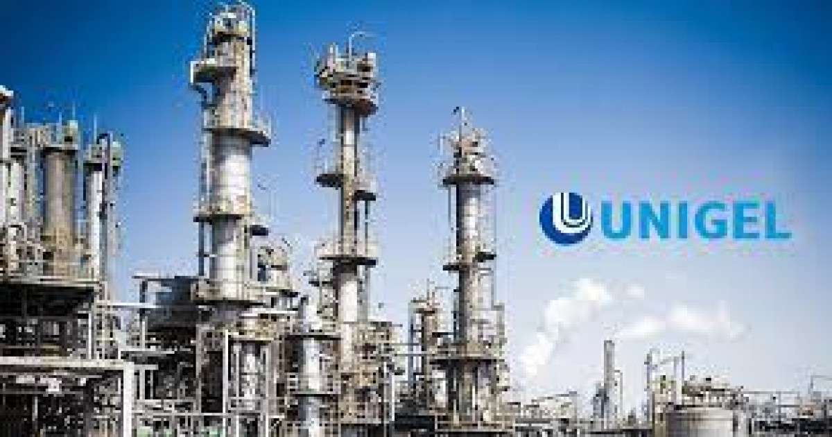 FERTILIZANTES | Petrobras e Unigel vão desenvolver negócios no setor ...