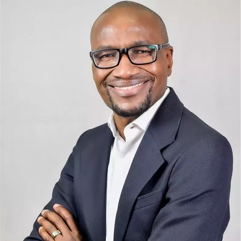 NÍQUEL | Brazil Nickel tem novos diretores para projeto no Piauí ...