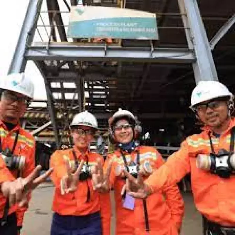 NÍQUEL | Vale Canada reduz participação na PTVI da Indonésia | Brasil ...