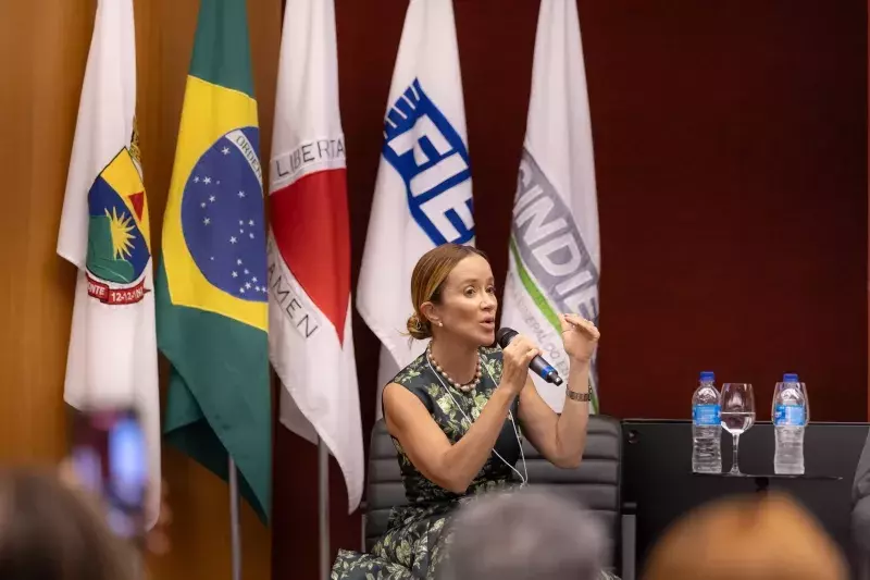 LÍTIO | Sigma Brazil anuncia listagem nas bolsas Nasdaq e de Cingapura ...