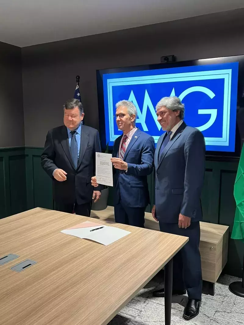 MINERAIS CRÍTICOS | AMG investe até R$ 1,4 bilhão para triplicar ...