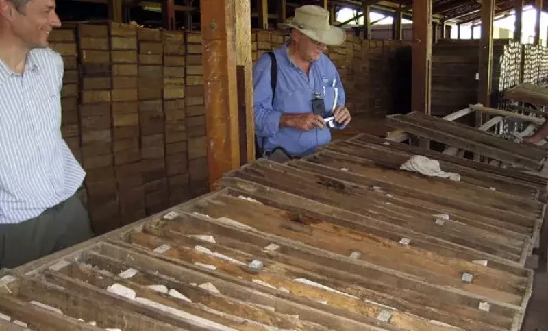 PRÊMIO | Piauí Nickel Metals é reconhecido por práticas ESG | Brasil ...