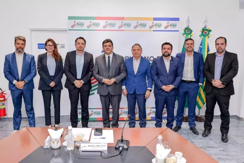 NÍQUEL | Brazilian Nickel mostra avanços ao Governo do Piauí no projeto ...