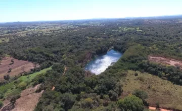 AMARILLO GOLD | Brasil Mineral