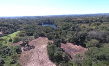 AMARILLO GOLD | Brasil Mineral