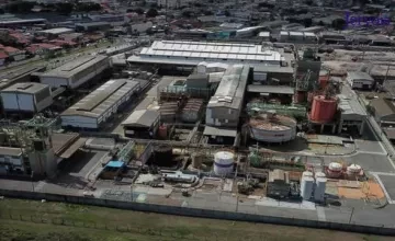 JERVOIS | Brasil Mineral